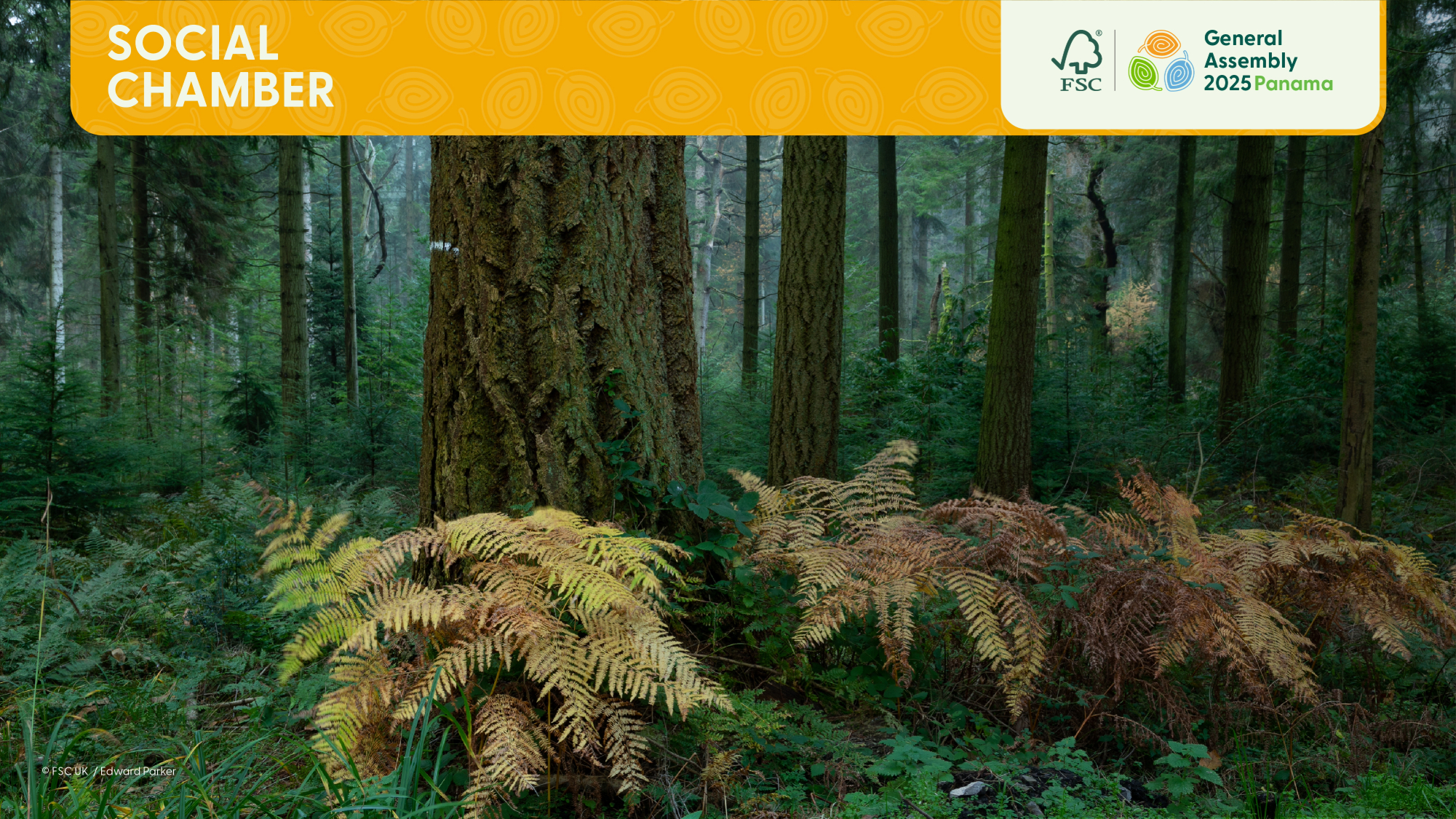 Fonds d’écran virtuels | Welcome To The FSC General Assembly